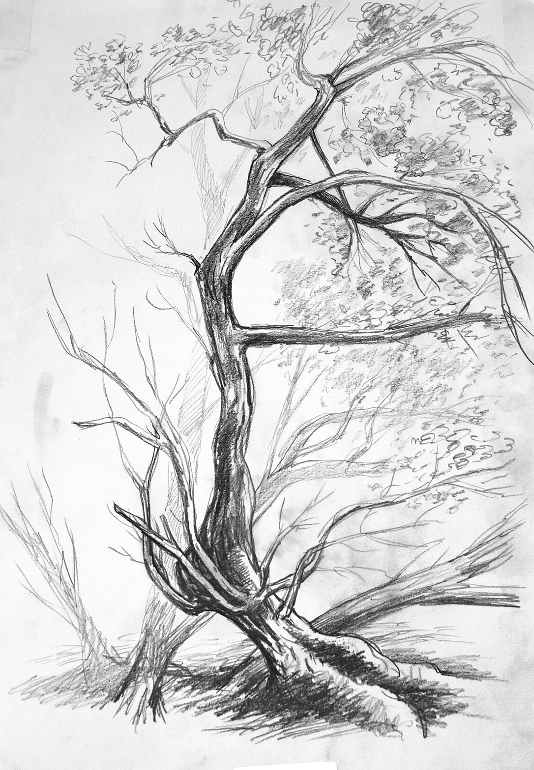 Simple Drawing Images Of Nature Easy Nature Scenery Drawing Dekorisori Simple Drawing Images Of Nature Easy Nature Scenery Drawing Dekorisori