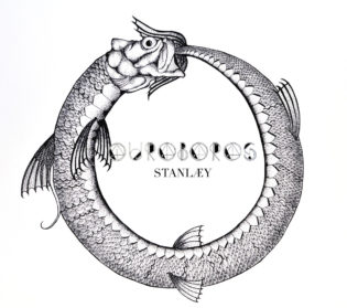 Ouroboros Drawing - Drawing Skill