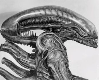 Xenomorph Head Drawing Pic - Drawing Skill