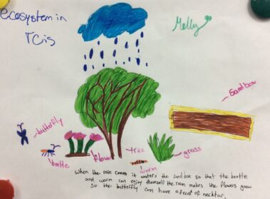 Ecosystem Drawing Beautiful Image - Drawing Skill