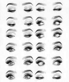Eye Reference Drawing Amazing - Drawing Skill