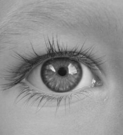 Eye Reference Drawing Realistic - Drawing Skill