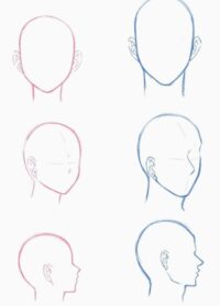 Face Base Drawing Pic - Drawing Skill