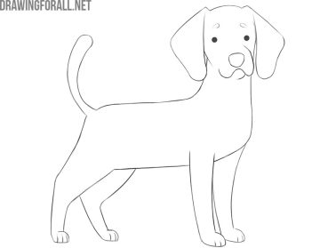 Animated Dog Drawing Sketch - Drawing Skill