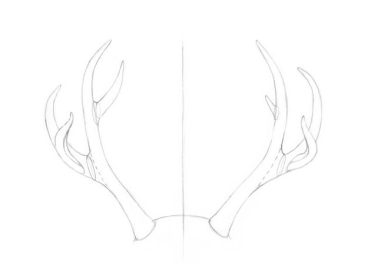 Antler Best Drawing - Drawing Skill