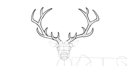 Antler Drawing Pictures - Drawing Skill
