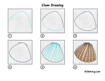 Clam Best Drawing - Drawing Skill