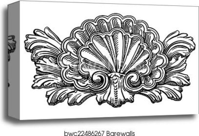 Clam Drawing Pic - Drawing Skill