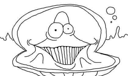 Clam Drawing Pics - Drawing Skill