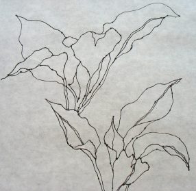 Contouring Drawing Amazing - Drawing Skill