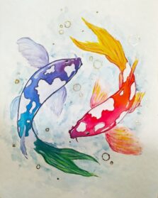 Coy Fish Drawing Sketch - Drawing Skill