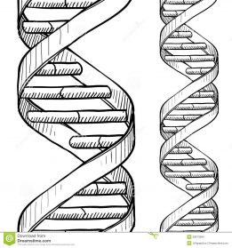 DNA Art Drawing - Drawing Skill