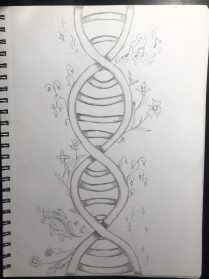 DNA Best Drawing - Drawing Skill