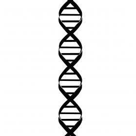 DNA Drawing Realistic - Drawing Skill