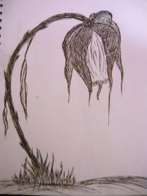 Dead Flower Drawing - Drawing Skill