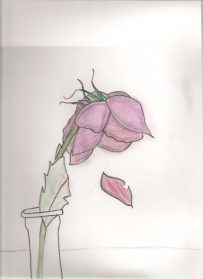 Dead Flower Drawing Pictures - Drawing Skill