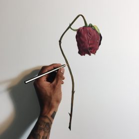 Dead Rose Drawing Photo - Drawing Skill