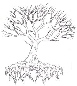 Dead Tree Drawing Images - Drawing Skill