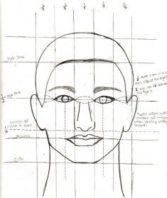 Face Proportions Best Drawing - Drawing Skill