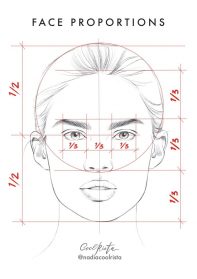 Face Proportions Drawing Beautiful Image - Drawing Skill