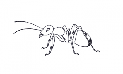 Ant Drawing Art - Drawing Skill