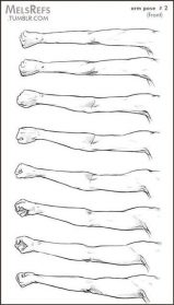 Arm Reference Drawing Photo - Drawing Skill
