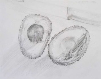 Avocado Drawing Realistic - Drawing Skill