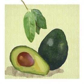Avocado Drawing Sketch - Drawing Skill
