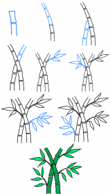 Bamboo Drawing High-Quality - Drawing Skill