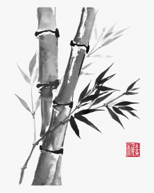 Bamboo Drawing Pic - Drawing Skill