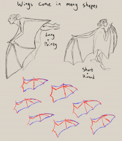 Bat Wing Drawing - Drawing Skill