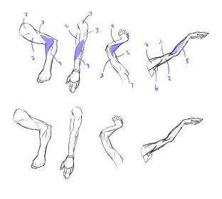 Bent Arm Drawing High-Quality - Drawing Skill