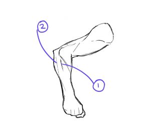 Bent Arm Drawing Images - Drawing Skill