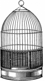 Bird Cage Drawing Pics - Drawing Skill