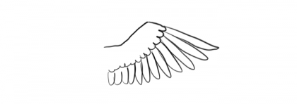 Bird Wing Drawing Art - Drawing Skill