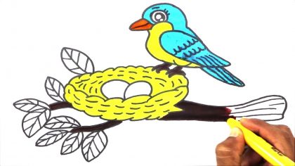 Bird in a Nest Drawing Art - Drawing Skill