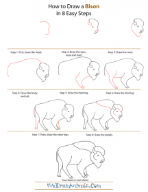 Bison Drawing Art - Drawing Skill
