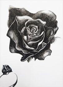 Black Roses Drawing Photos - Drawing Skill