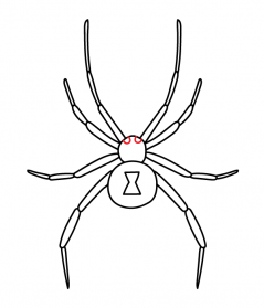 Black Widow Spider Drawing Creative Art - Drawing Skill
