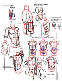 Body Reference Drawing Amazing - Drawing Skill