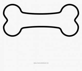 Bone Drawing Photo - Drawing Skill