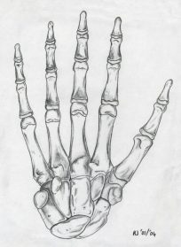 Bone Hand Drawing Amazing - Drawing Skill