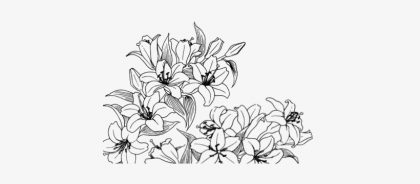 Bouquet Flower Drawing High-Quality - Drawing Skill