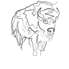 Buffalo Drawing Picture - Drawing Skill