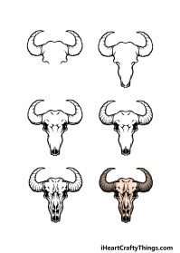 Bull Skull Drawing - Drawing Skill