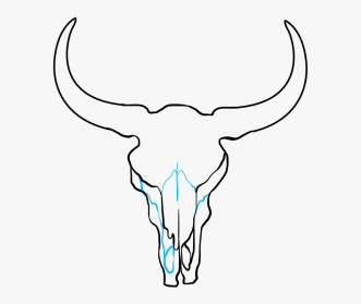 Bull Skull Drawing Image - Drawing Skill