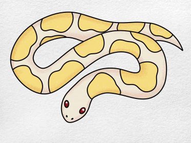 Burmese Python Drawing Photo - Drawing Skill