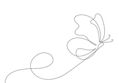 Butterfly Line Art Drawing - Drawing Skill