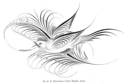 Calligraphic Drawing - Drawing Skill