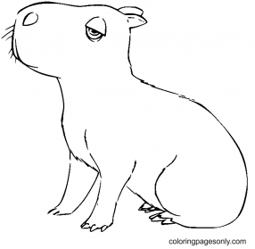 Capybara Drawing Realistic - Drawing Skill